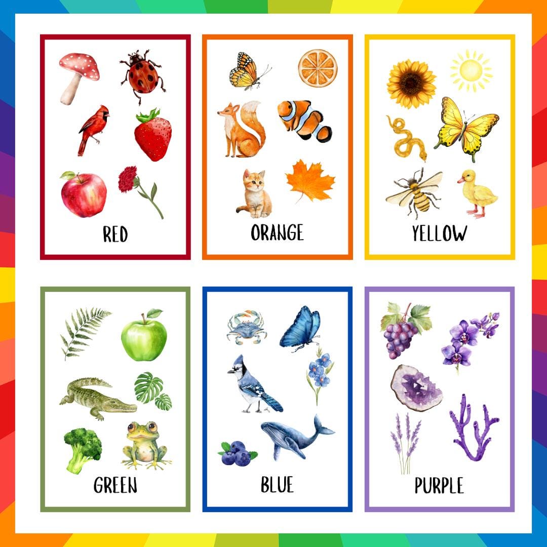 Nature Themed Color Flashcards, Learning Resource, Homeschool, Nature ...