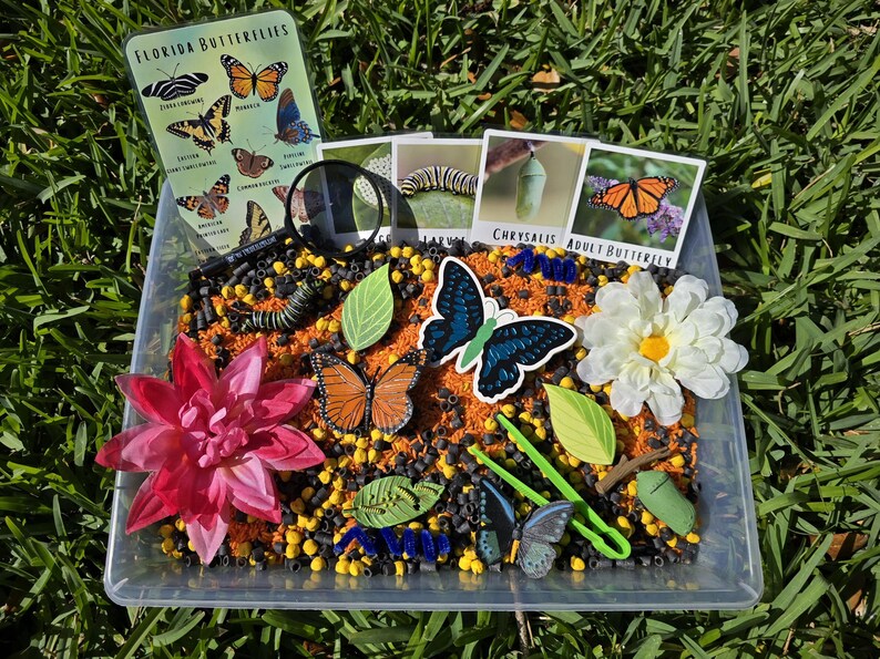 Butterfly Life Cycle Sensory Bin Filler, Montessori Learning Resource ...