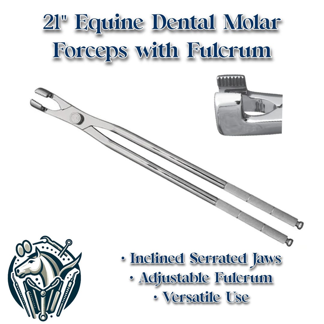 21'' Equine Dental Molar Forceps With Fulcrum Durable Veterinary Tool ...