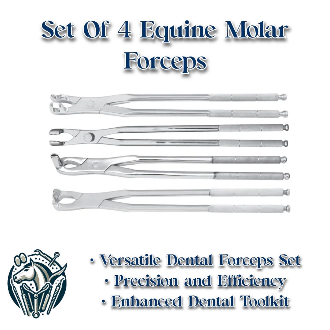Set of 4 Equine Molar Forceps - Etsy