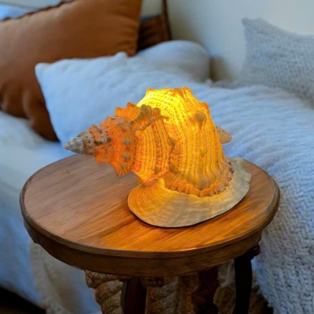 Vintage Conch Shell Lamp Sea Shell Nightlight Kitchen Bathroom Beach ...