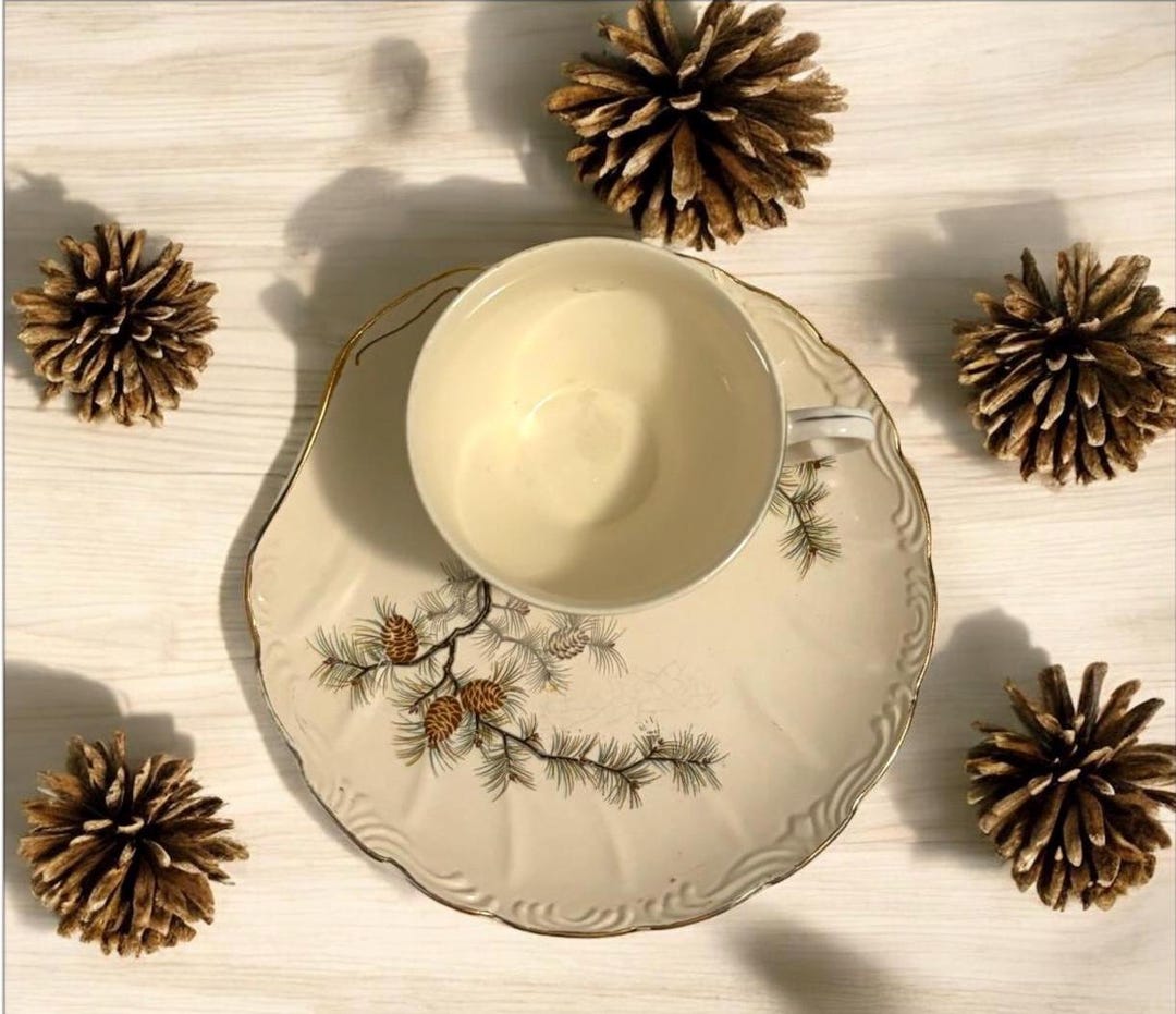 Vintage Pine Cone Design Porcelain Tea Cup & Snack Plate, Set of (4) - Etsy