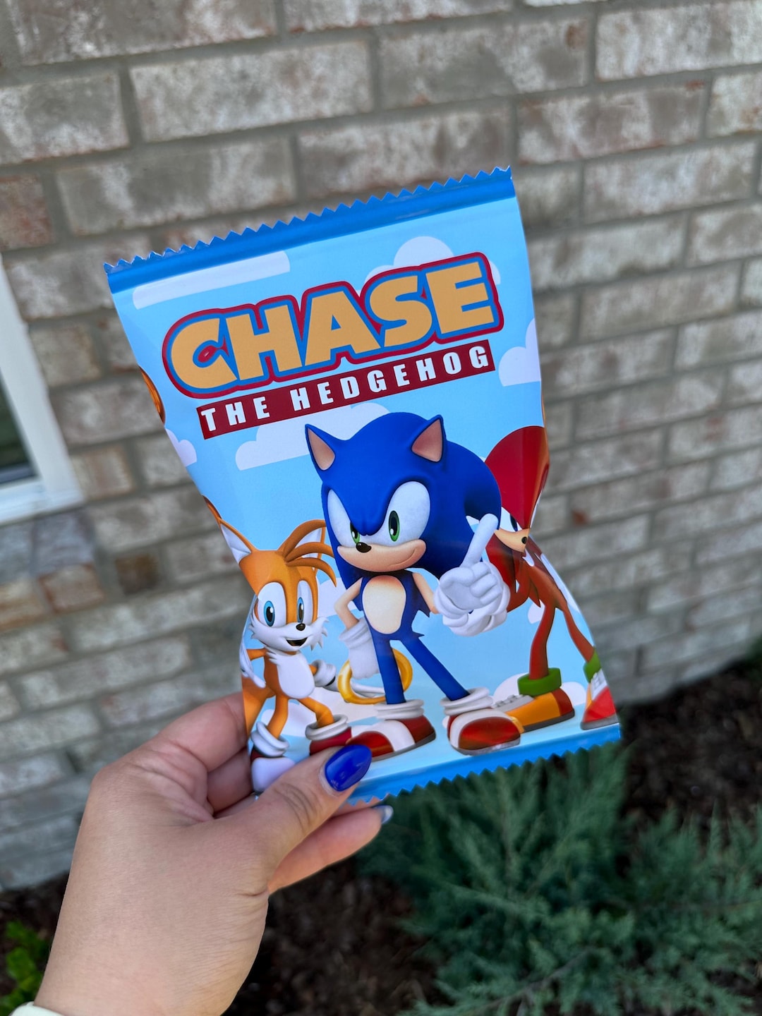 Sonic the Hedgehog Inspired Personalized Party Chip Bag - Etsy