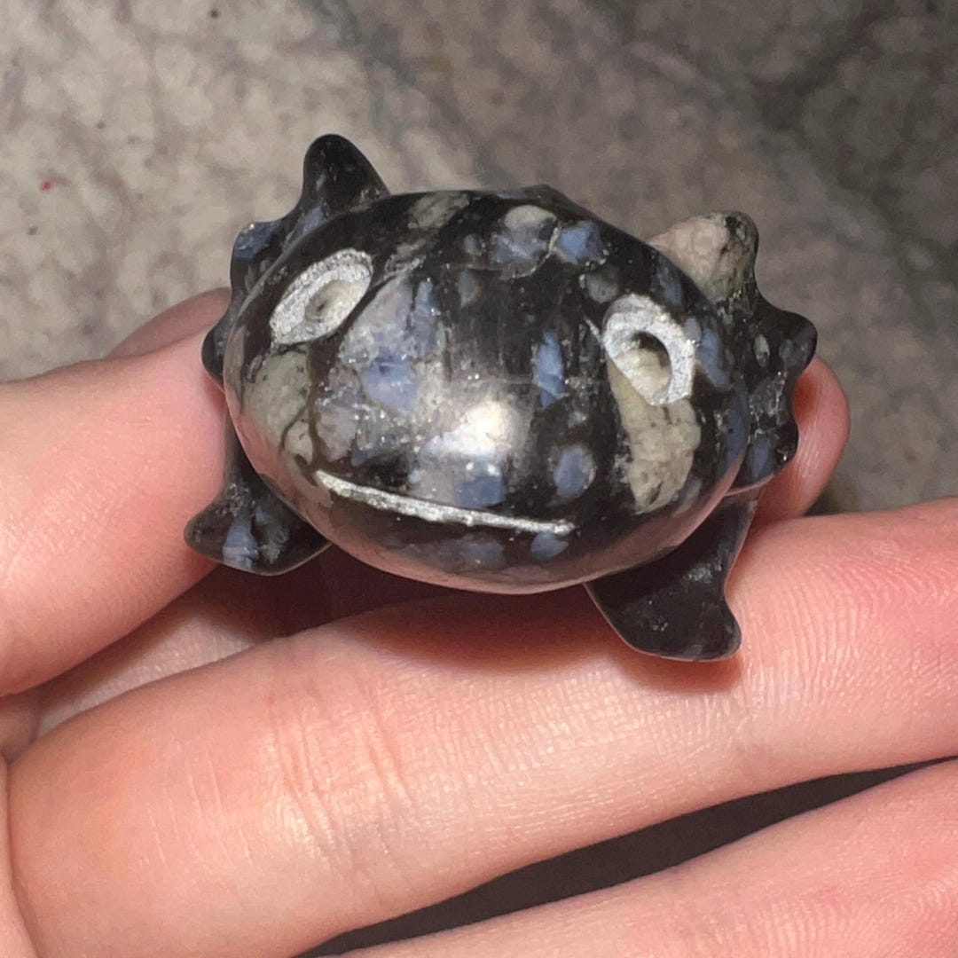 Que Sera Axolotl Crystal Carving - Etsy