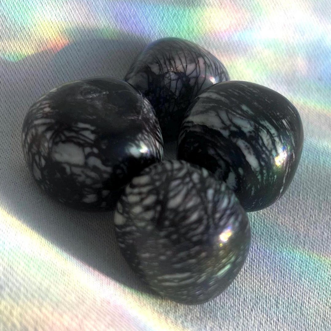 Polished Black Zebra Stripe Jasper Tumble-single - Etsy