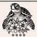 Floral Turtle SVG: Boho Sea Animal Clipart (digital Download - Etsy