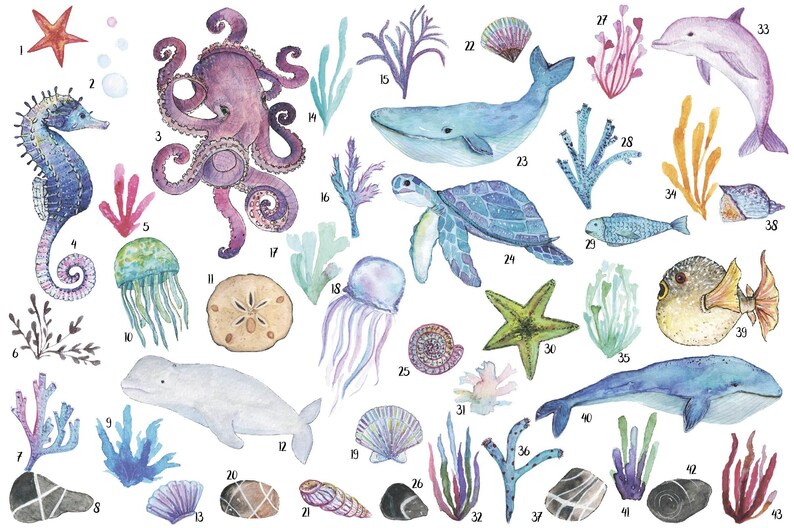 Sea World Watercolor Clipart Set 43 Handpainted Ocean Elements, Animals ...