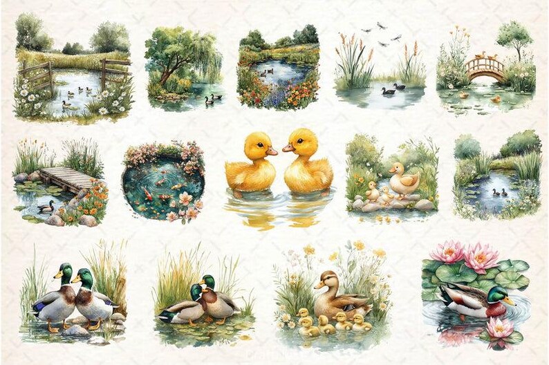 Springtime Duck Pond Clipart Bundle 2 PNG | Peaceful Pond Illustrations ...