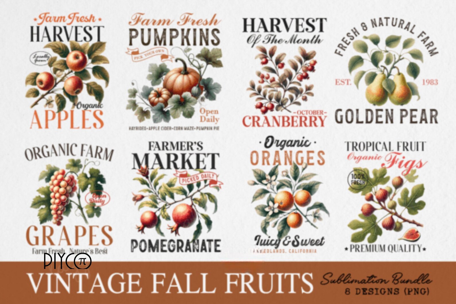Vintage Fall Fruit PNG Bundle – 8 Hand-drawn Autumn-inspired Designs ...