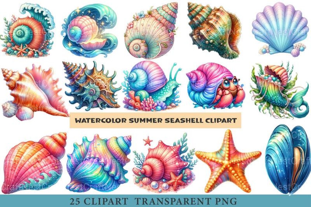 Seashell Clipart Bundle: Beachy Ocean Graphics (PNG Digital Download ...