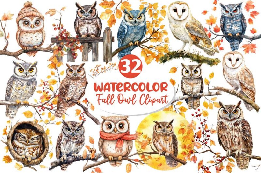 Autumn Owl Clipart Bundle: Fall Bird Illustrations for Scrapbooking ...