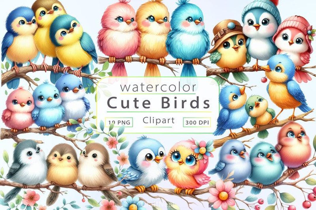 Cute Birds Clipart Bundle PNG | Adorable Bird Illustrations | Cartoon ...