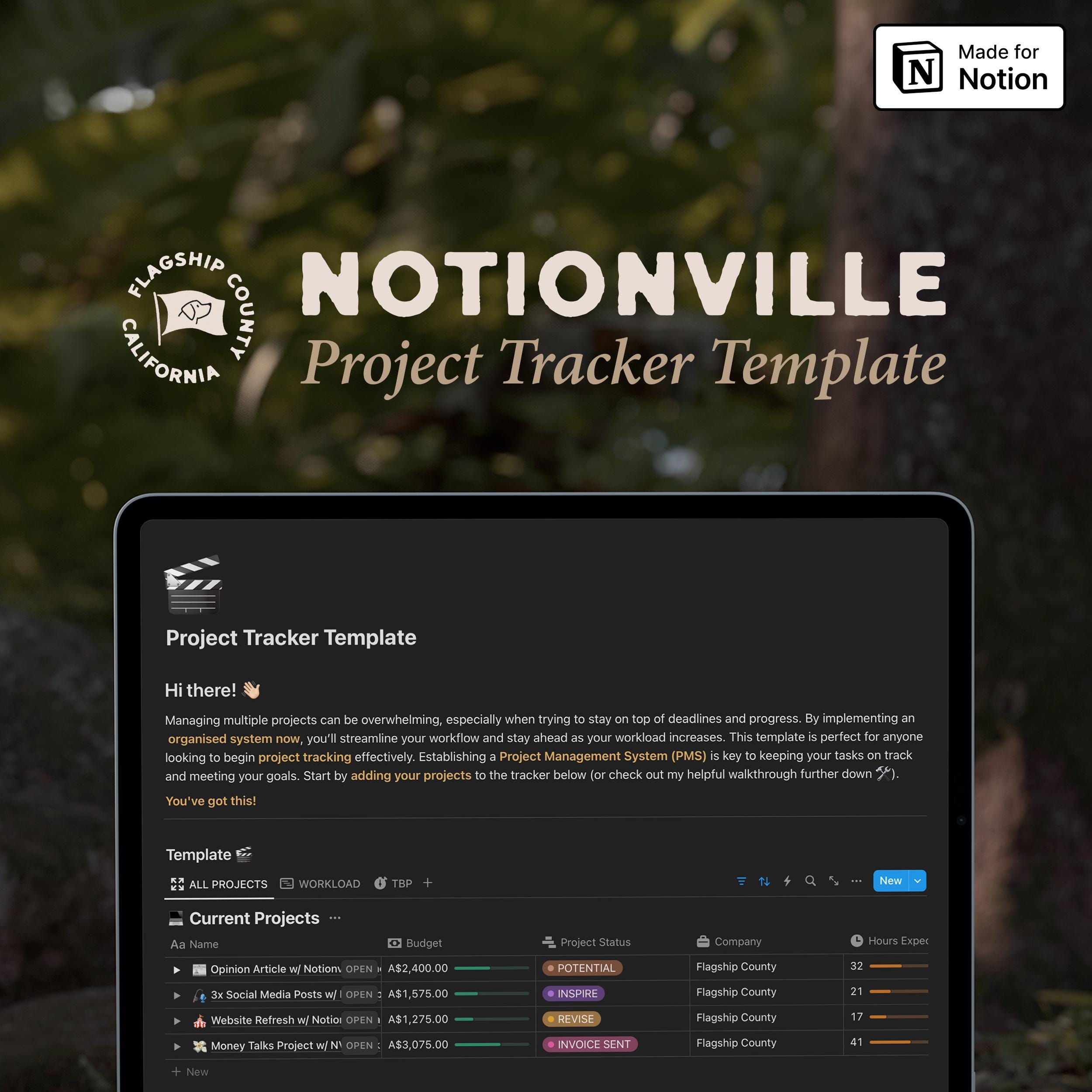 Project Tracking Template Made for Notion Notionville - Etsy
