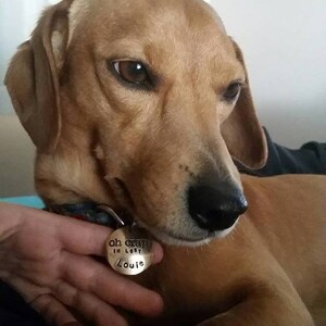 I'm Lost Custom Pet ID Tag Personalize It With Your Dog's Name Mature ...