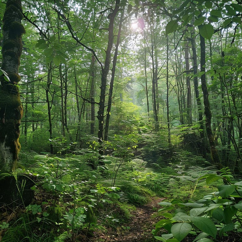 24 Green Forest Clipart, Greenery Woodland Digital Download, Nature ...