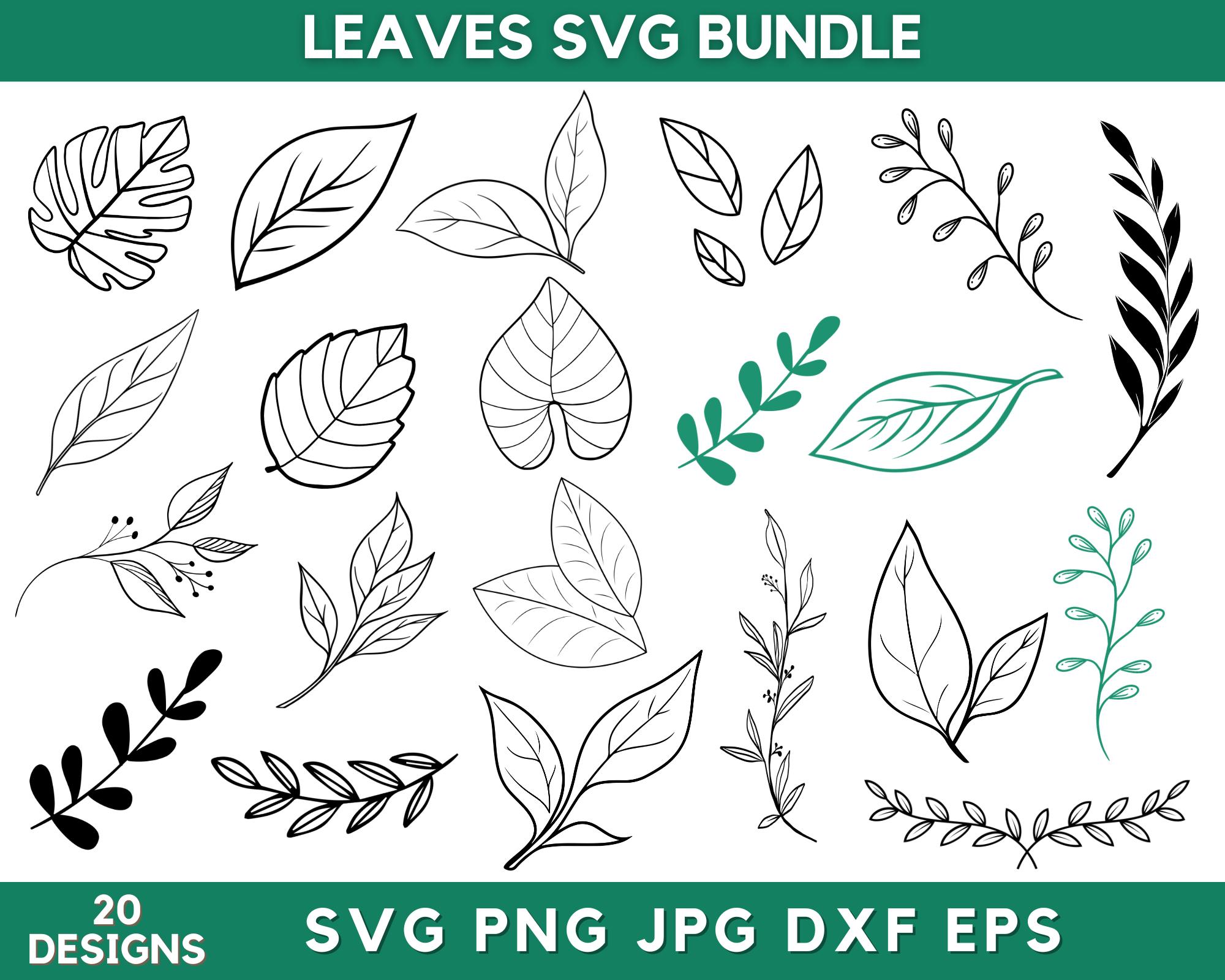 Leaves Svg Bundle, Leaves Svg, Leaves Png, Leaf Template, Plant Leaves ...