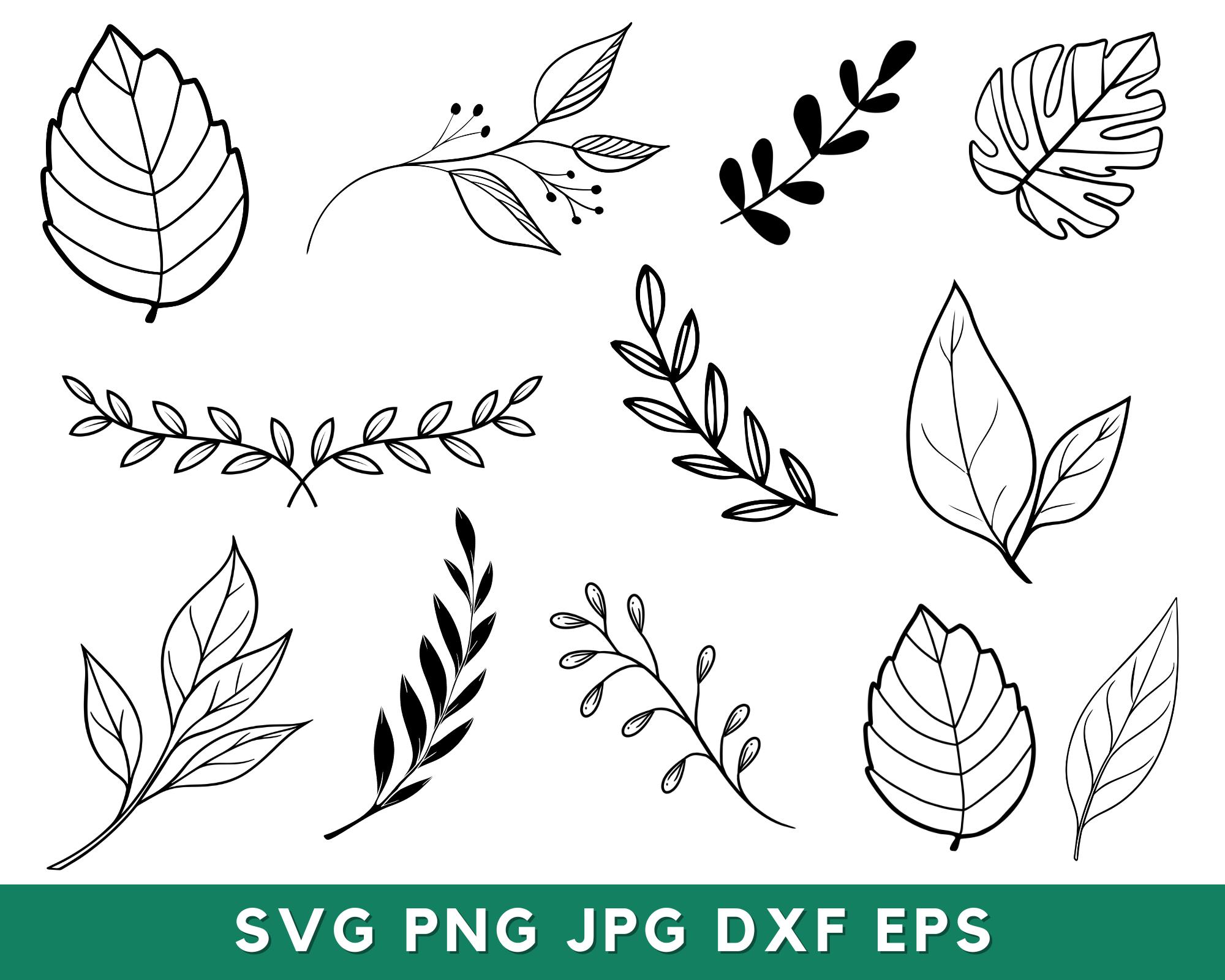 Leaves Svg Bundle, Leaves Svg, Leaves Png, Leaf Template, Plant Leaves ...