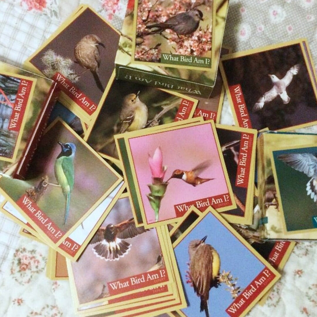 What Bird Am I is a Bird Identification Game, 299 Bird Cards ...