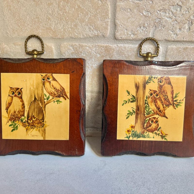 Owl Wall Plaque - Etsy