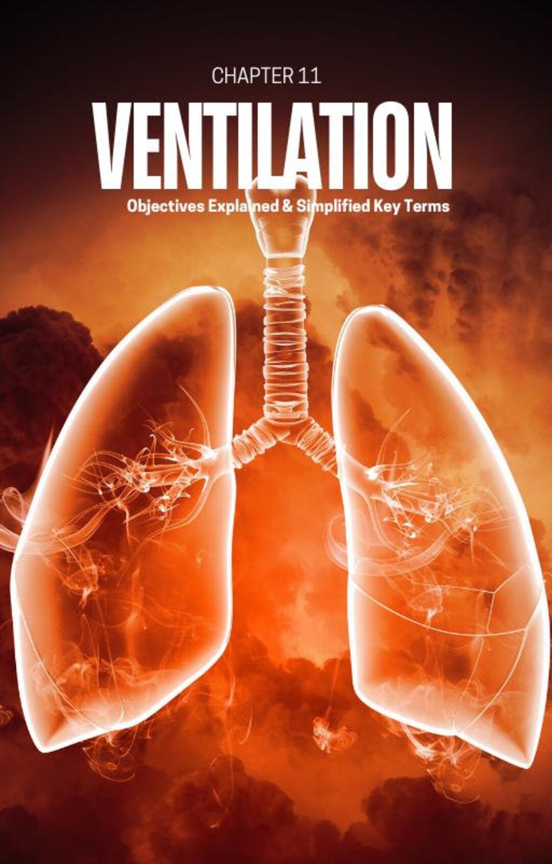 Egan's Ch.11 Ventilation Summary Chapter Objectives Explained With Key Terms - Etsy