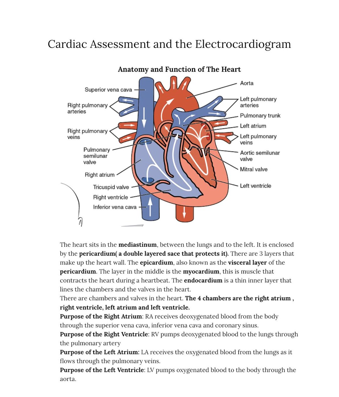 Cardiac Assessment and the Electrocardiogram ECG Rhythms Study Guide ...