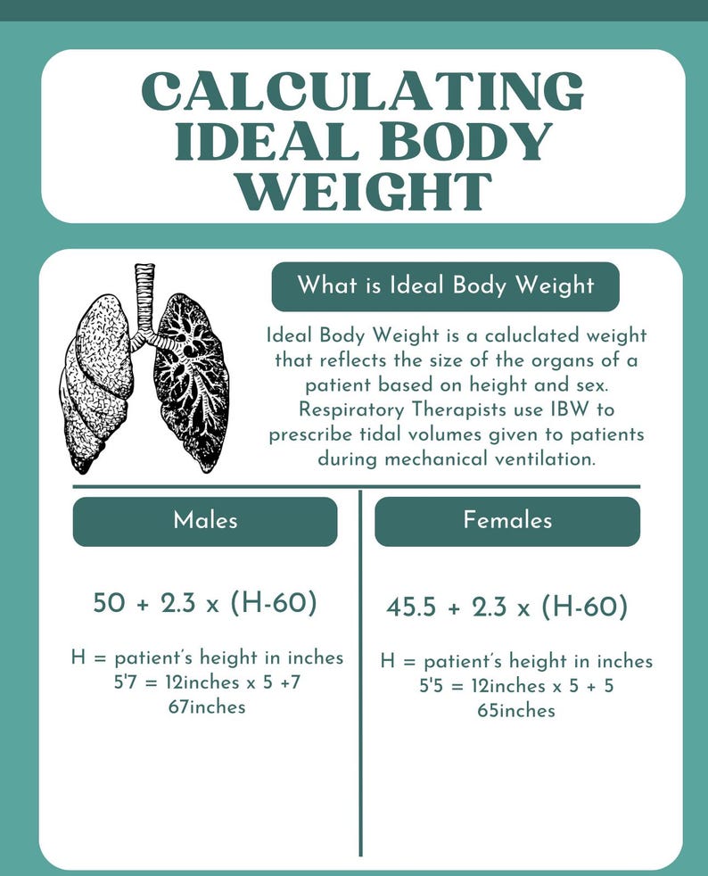 Healthcare Ideal Body Weight Study Cheat Sheet for Students - Etsy