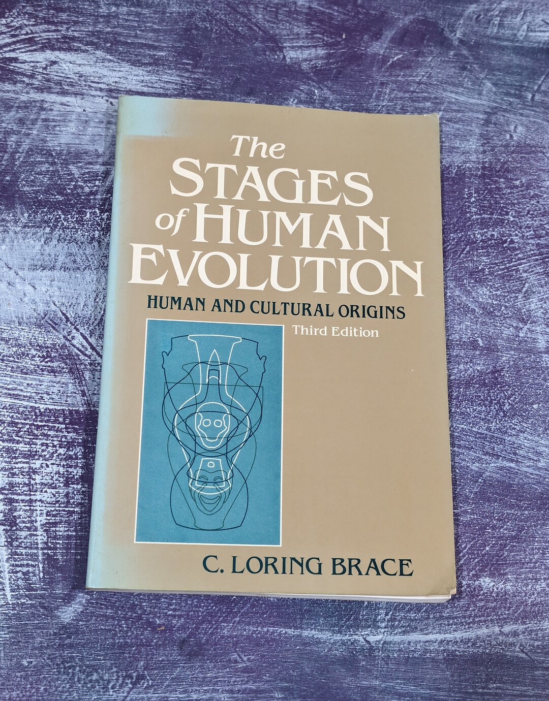 The Stages of Human Evolution Human and Cultural Origins Third Edition ...