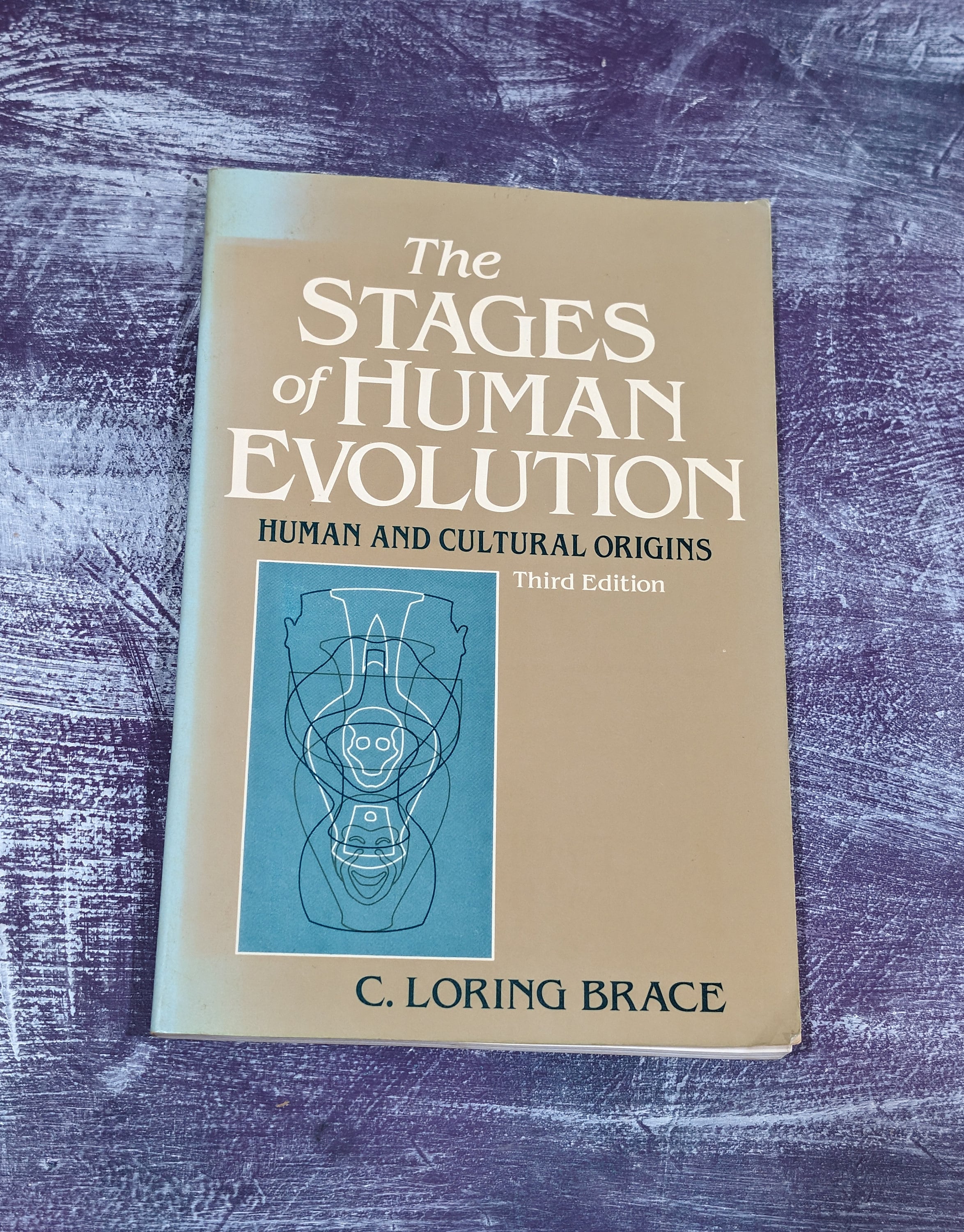The Stages of Human Evolution Human and Cultural Origins Third Edition ...