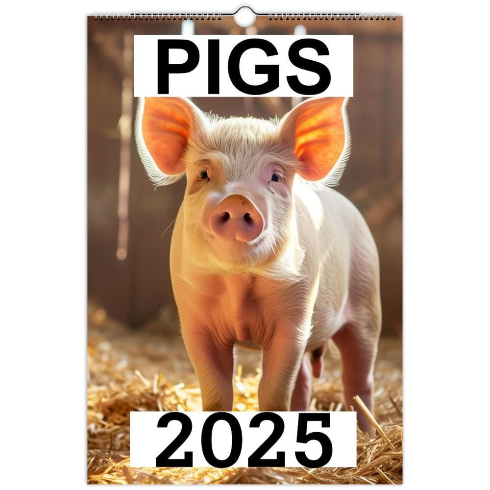 2025 Pigs Calendar Holiday Planner Christmas Gift Funny Animal Pig Cute ...