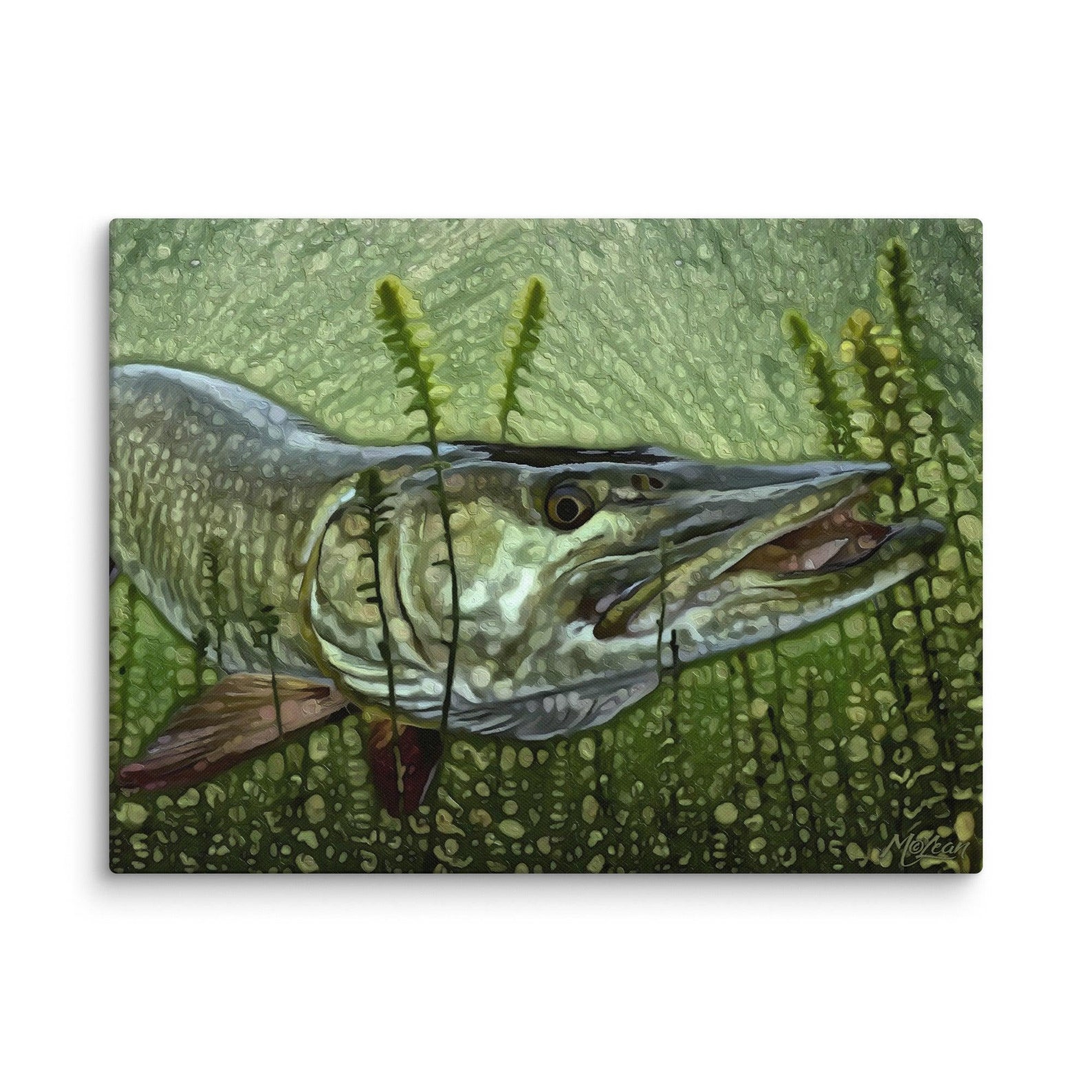 MUSKIE Fine Art Canvas Giclee Fish Print - Freshwater Lake Fish Gift ...