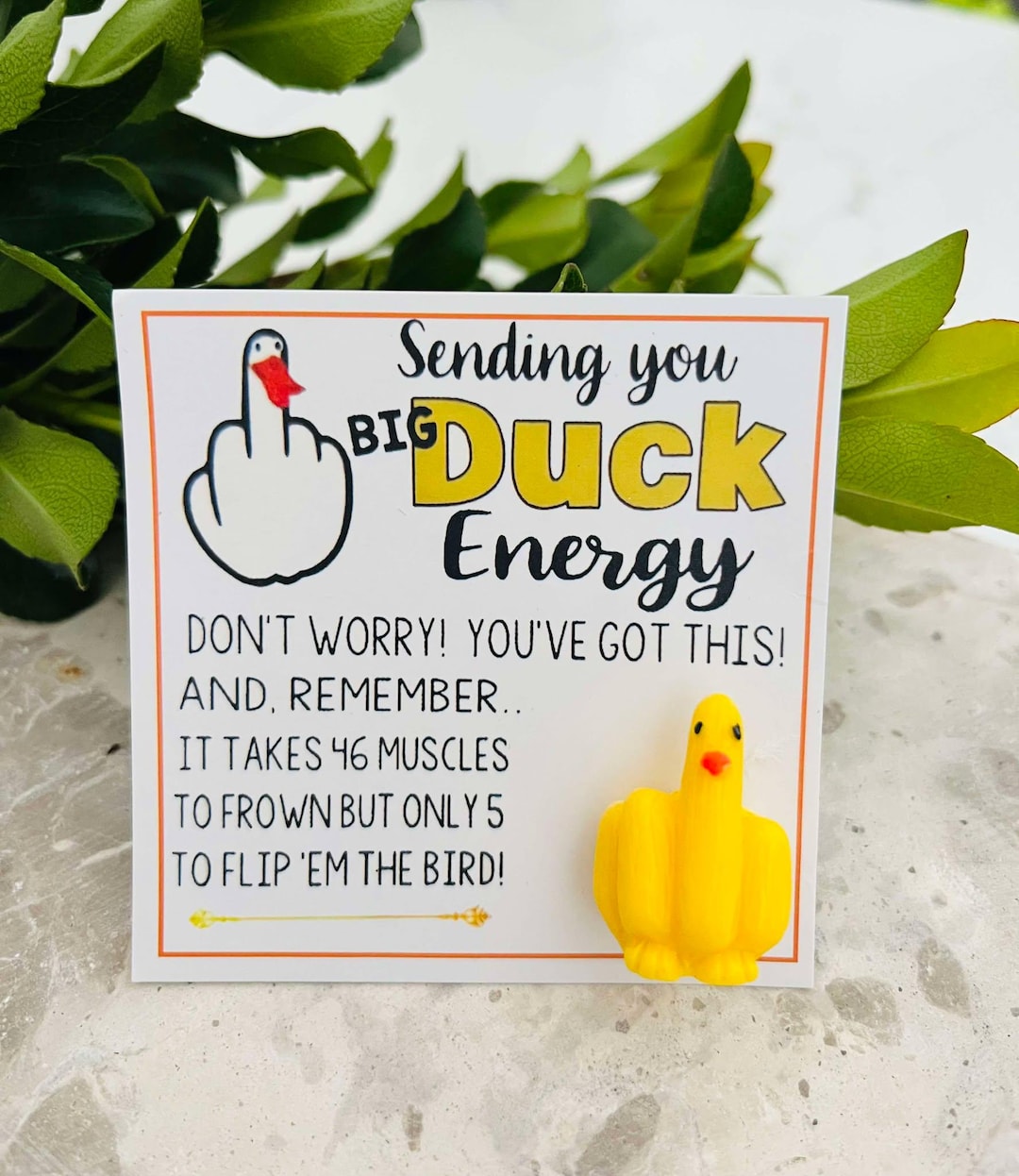 Pocket Hug, Letter Box Hug, Duck, Support, Emotional Support, Anxiety ...