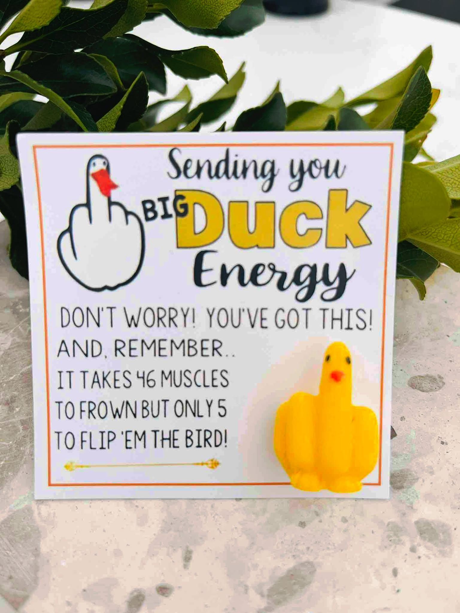 Pocket Hug, Letter Box Hug, Duck, Support, Emotional Support, Anxiety ...