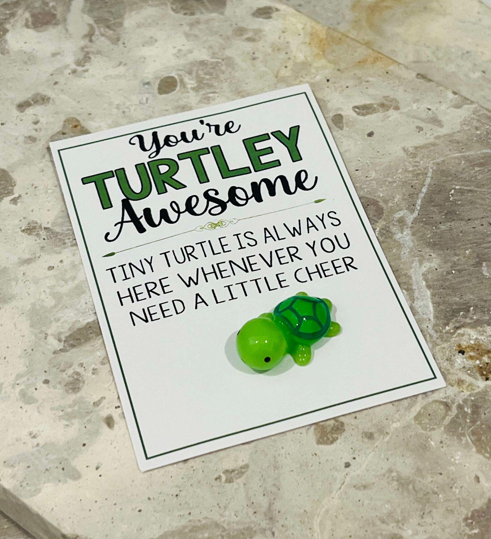 Anxiety, Emotional Support Turtle, Comfort, Keepsake, Keyring, Gift ...