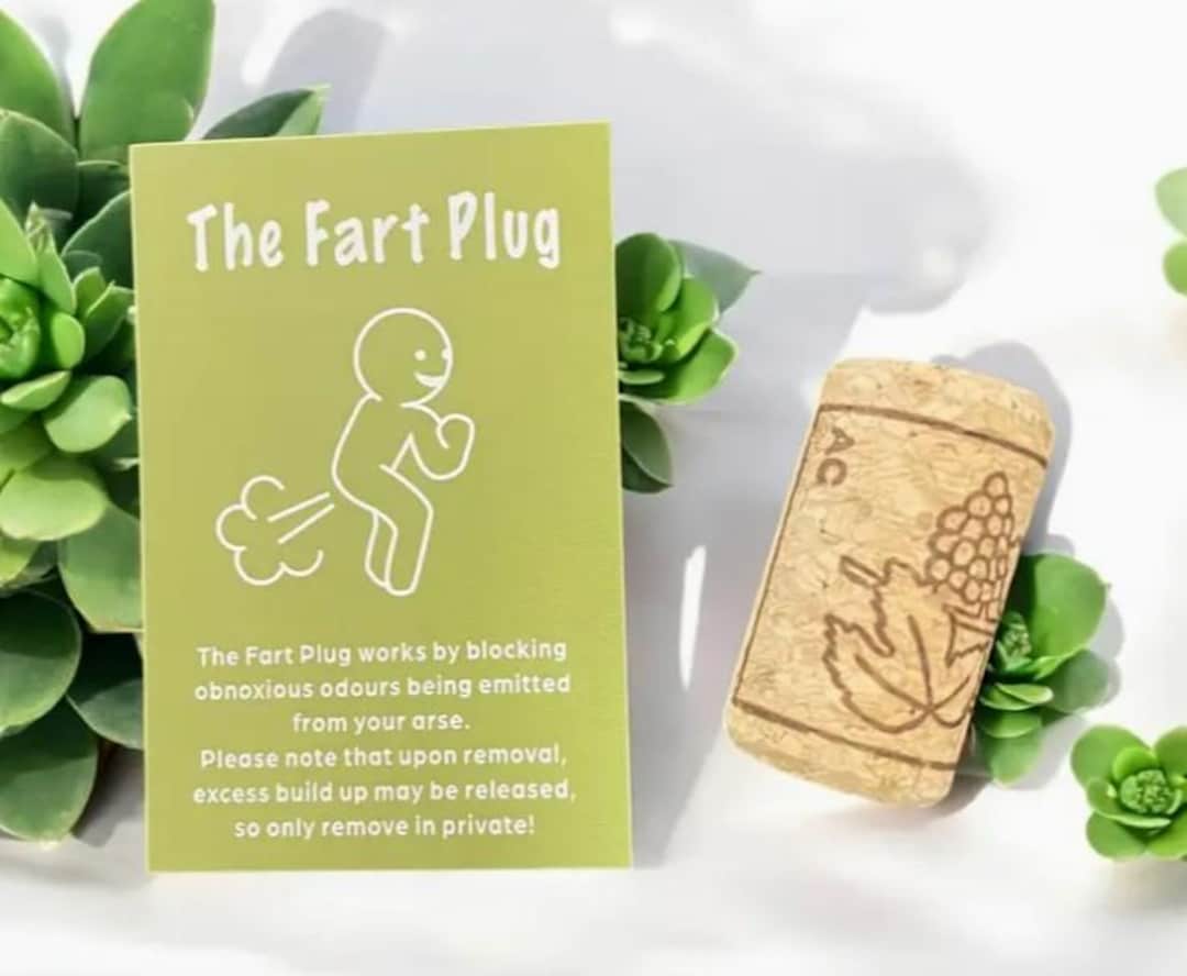 Fart Plug, Joke, Practical Joke, Funny, Smelly, Party Game, Gift, Gift ...
