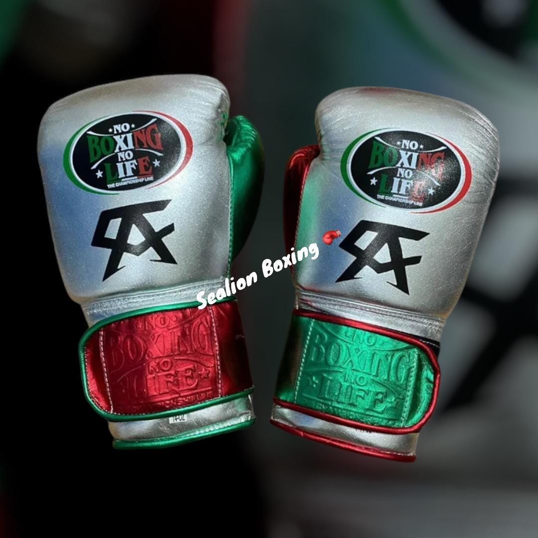 Custom Handmade Canelo Boxing Gloves – No Boxing No Life Premium ...