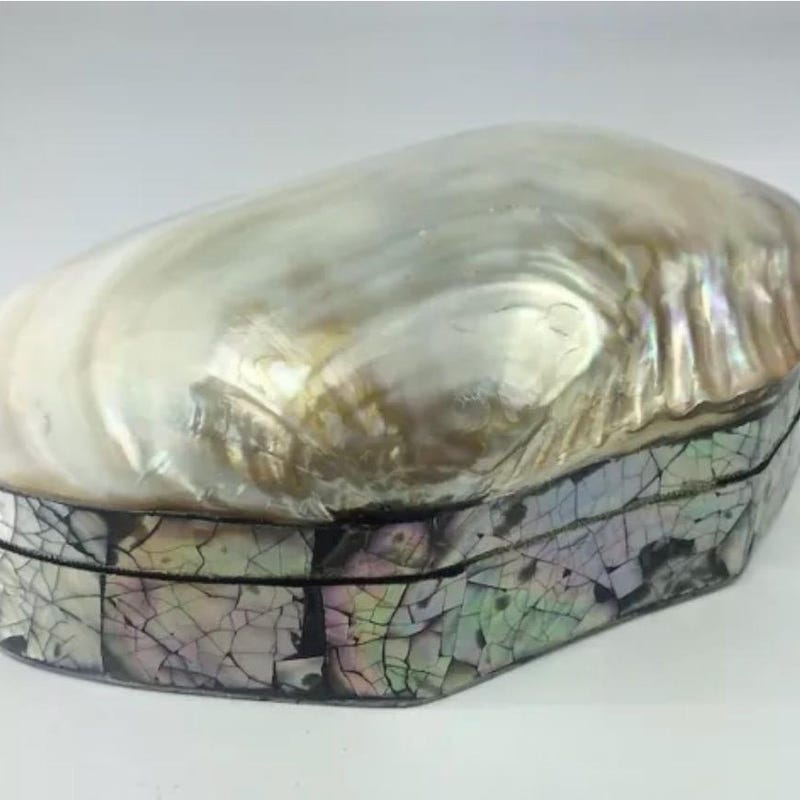 Shell Box - Etsy