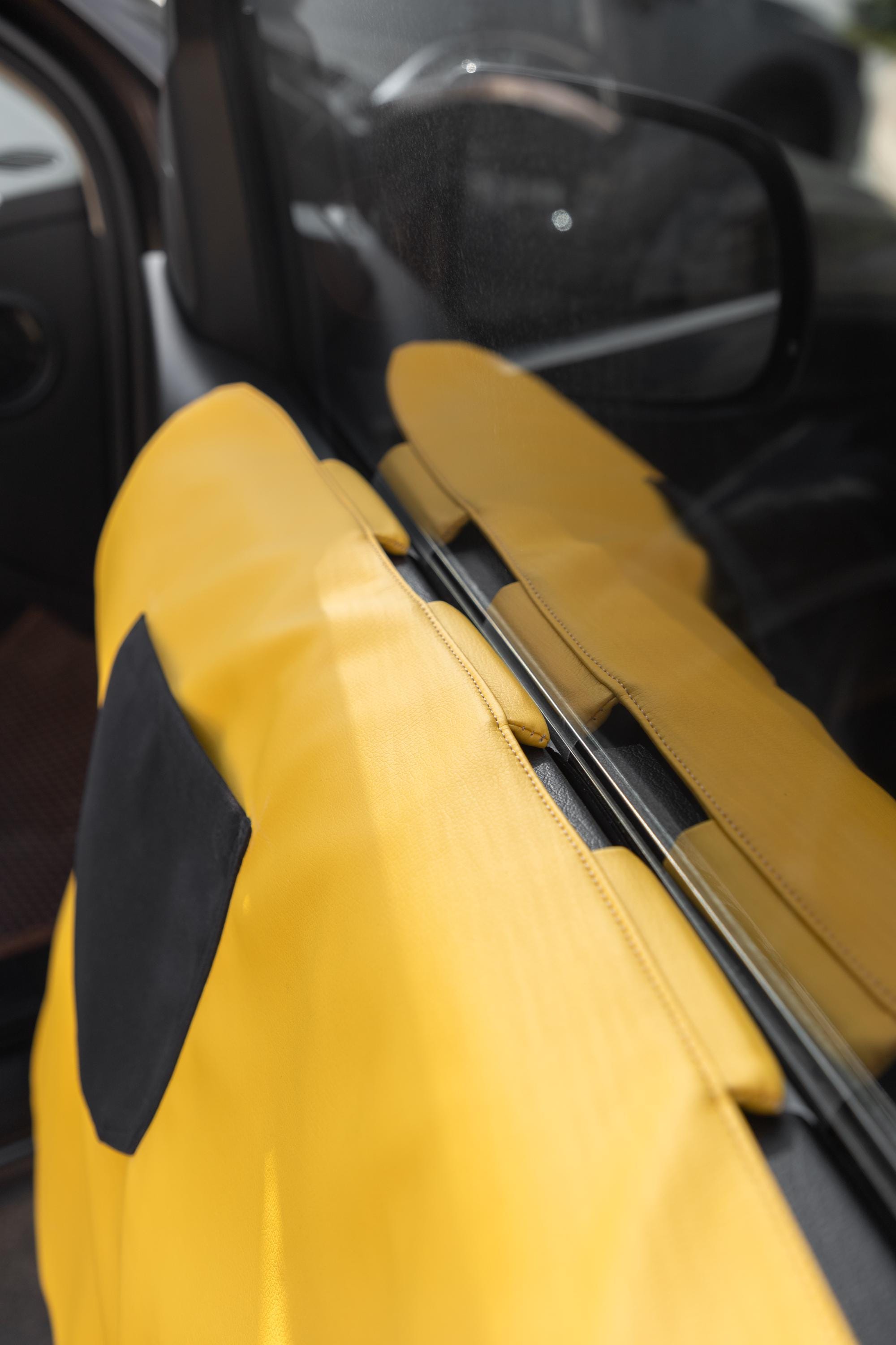 Anti-scratch Car Pet Mat: Shield Your Side Door From Furry Friend - Etsy