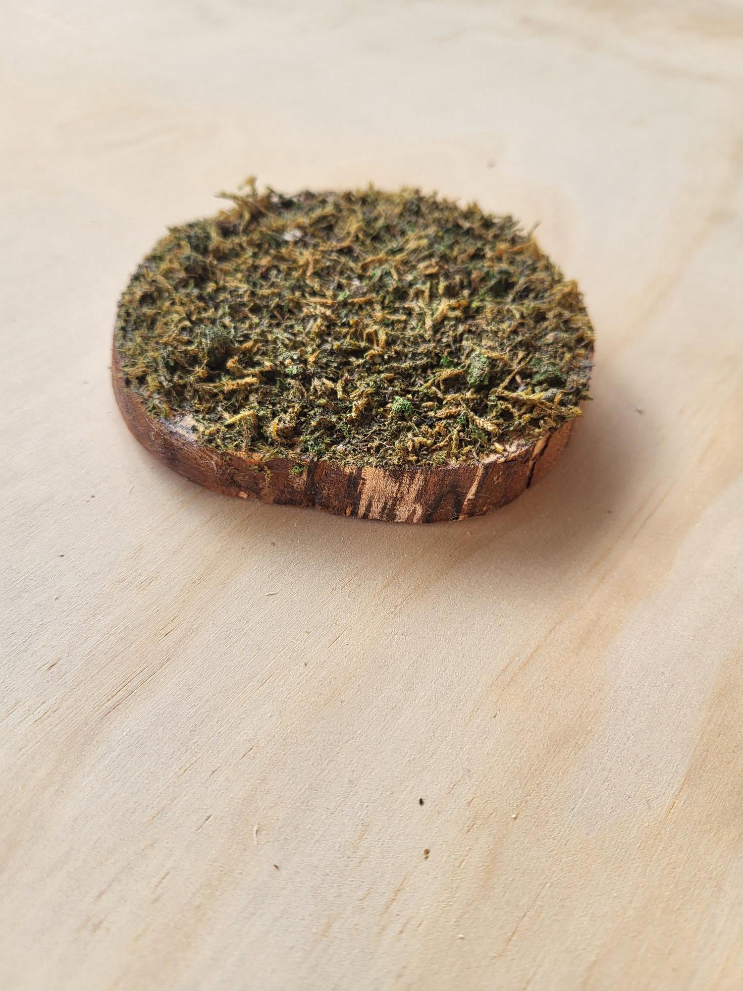 Natural Wood Diorama Base - Etsy