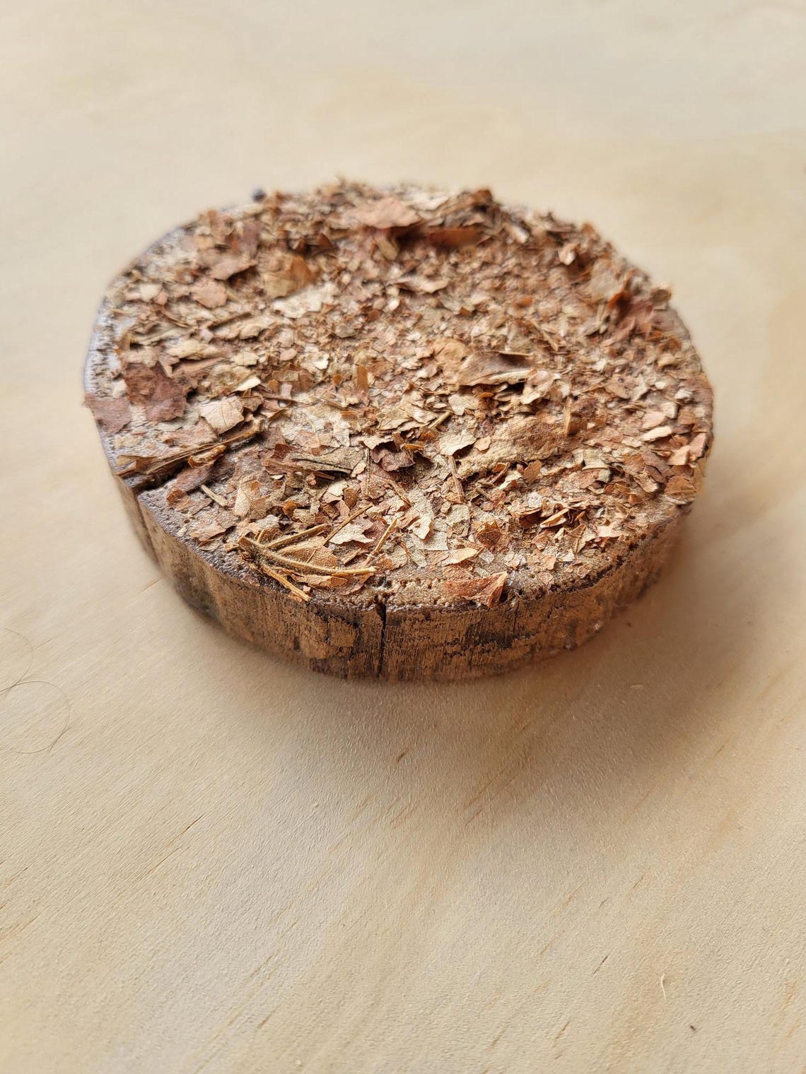Natural Wood Diorama Base - Etsy