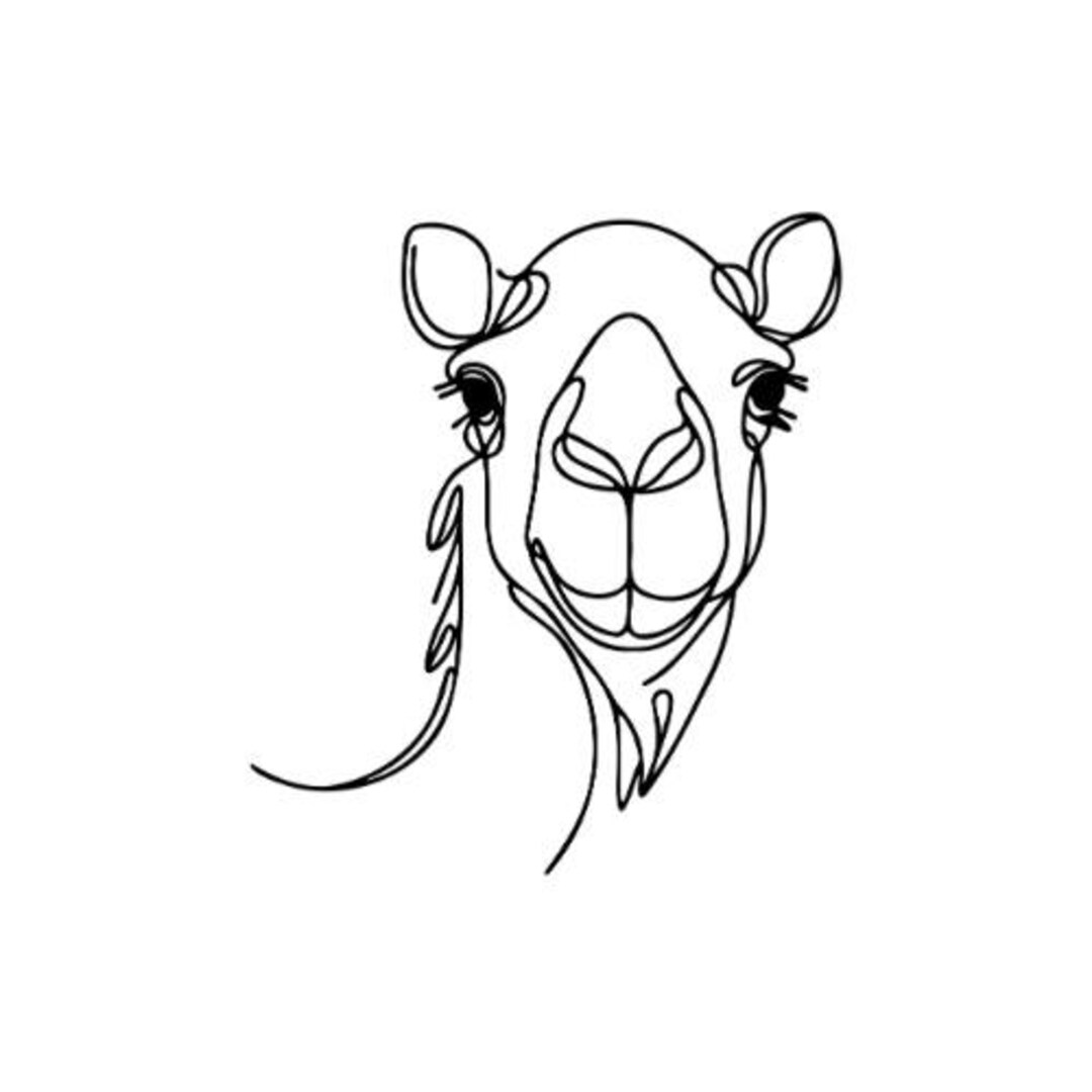 Camel Svg and Png - Etsy