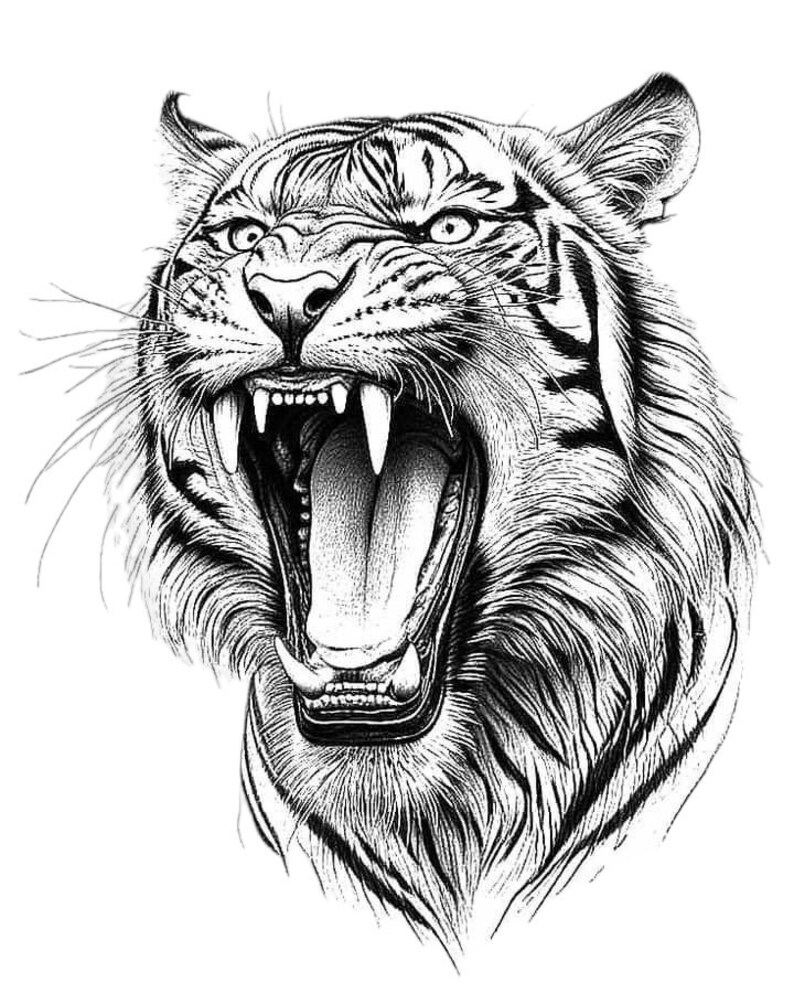 Tiger Svg and Png - Etsy