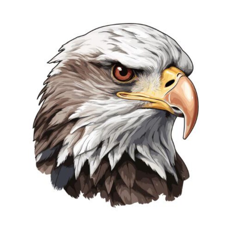Eagle Svg and Png - Etsy