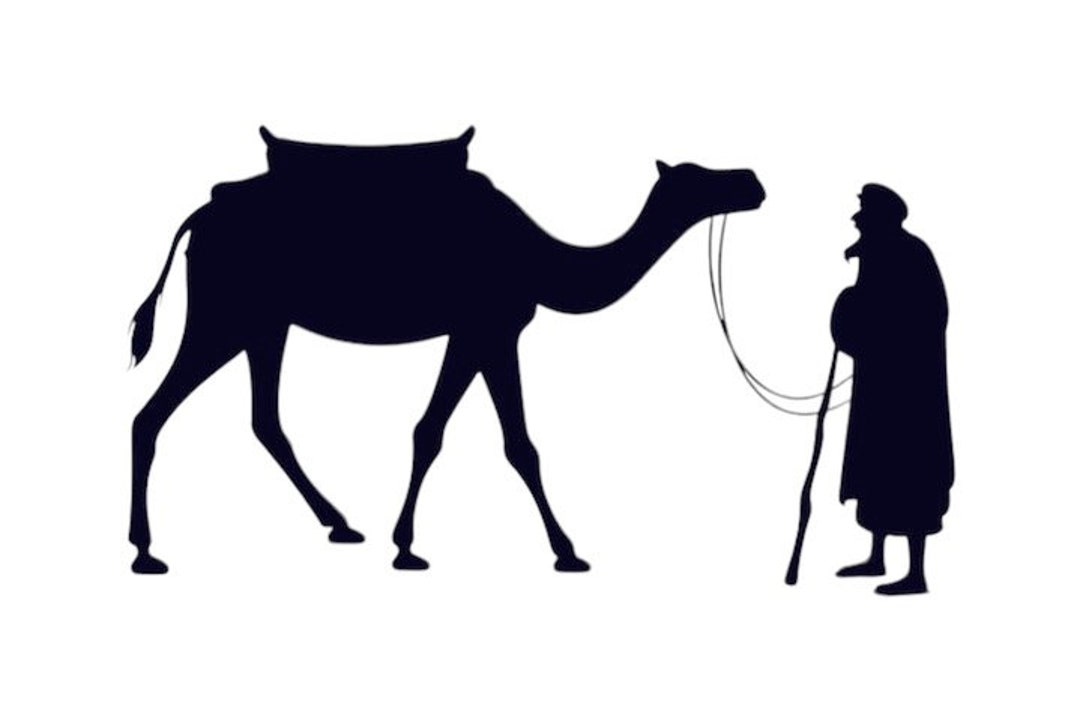 Camel Svg and Png - Etsy