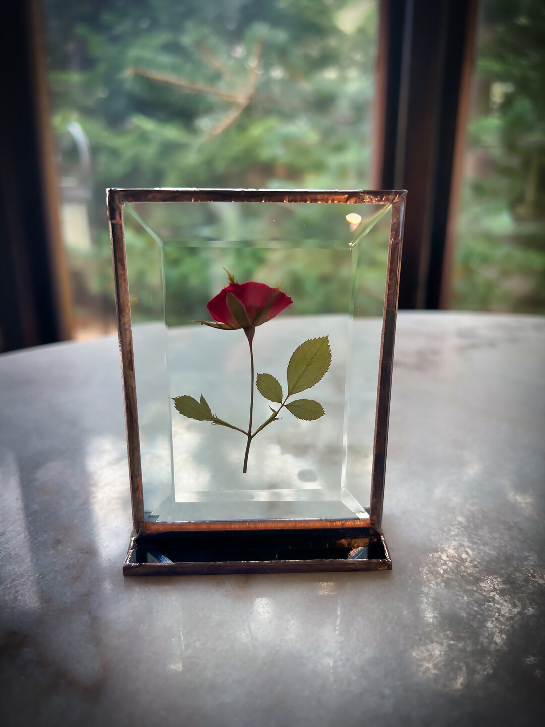 Table Top Glass Flower Display Red Rose Eternity Rose - Etsy