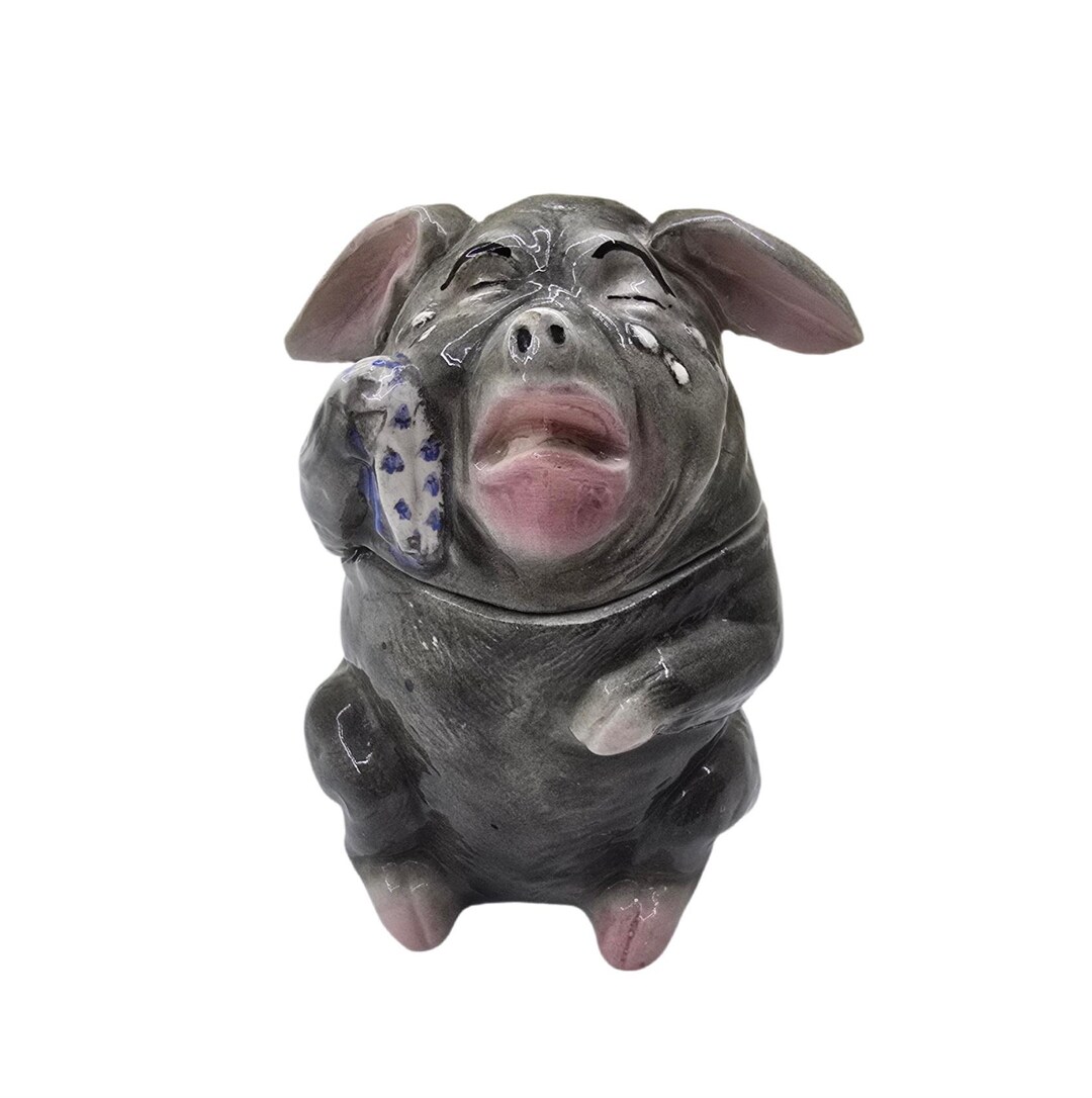 Handmade Ceramic Crying Pig Cookie Jar, Whimsical Treat Jar - Vintage ...