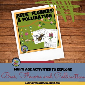 Bees, Flowers, & Pollination Printable Curriculum Lessons - Etsy