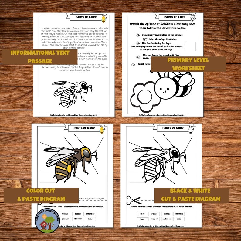 Bees, Flowers, & Pollination Printable Curriculum Lessons - Etsy