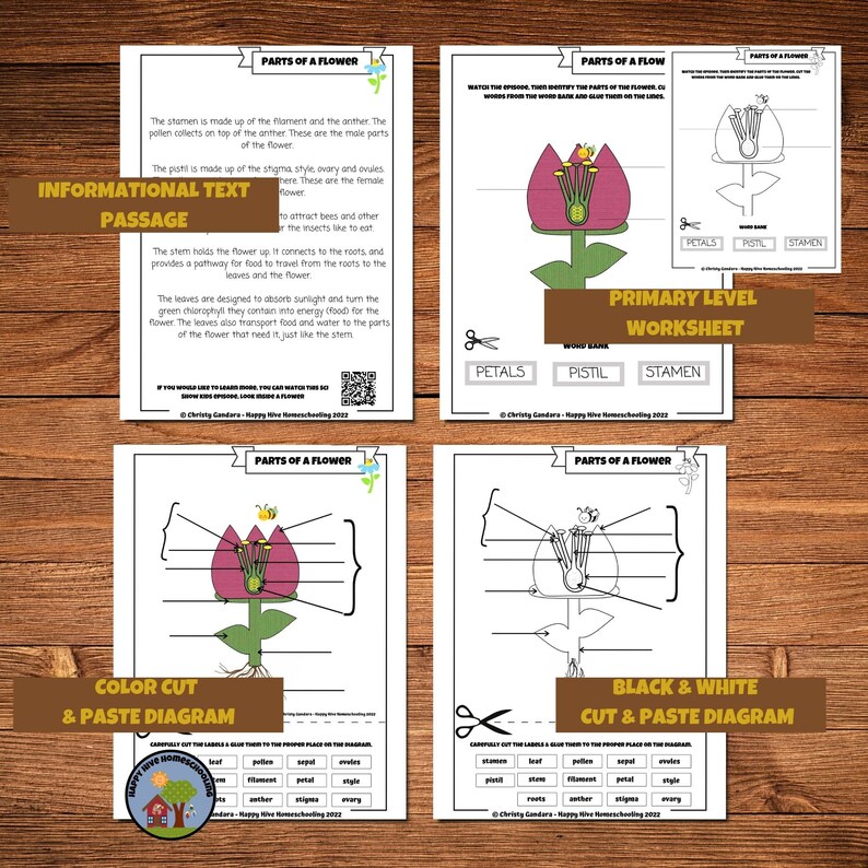 Bees, Flowers, & Pollination Printable Curriculum Lessons - Etsy