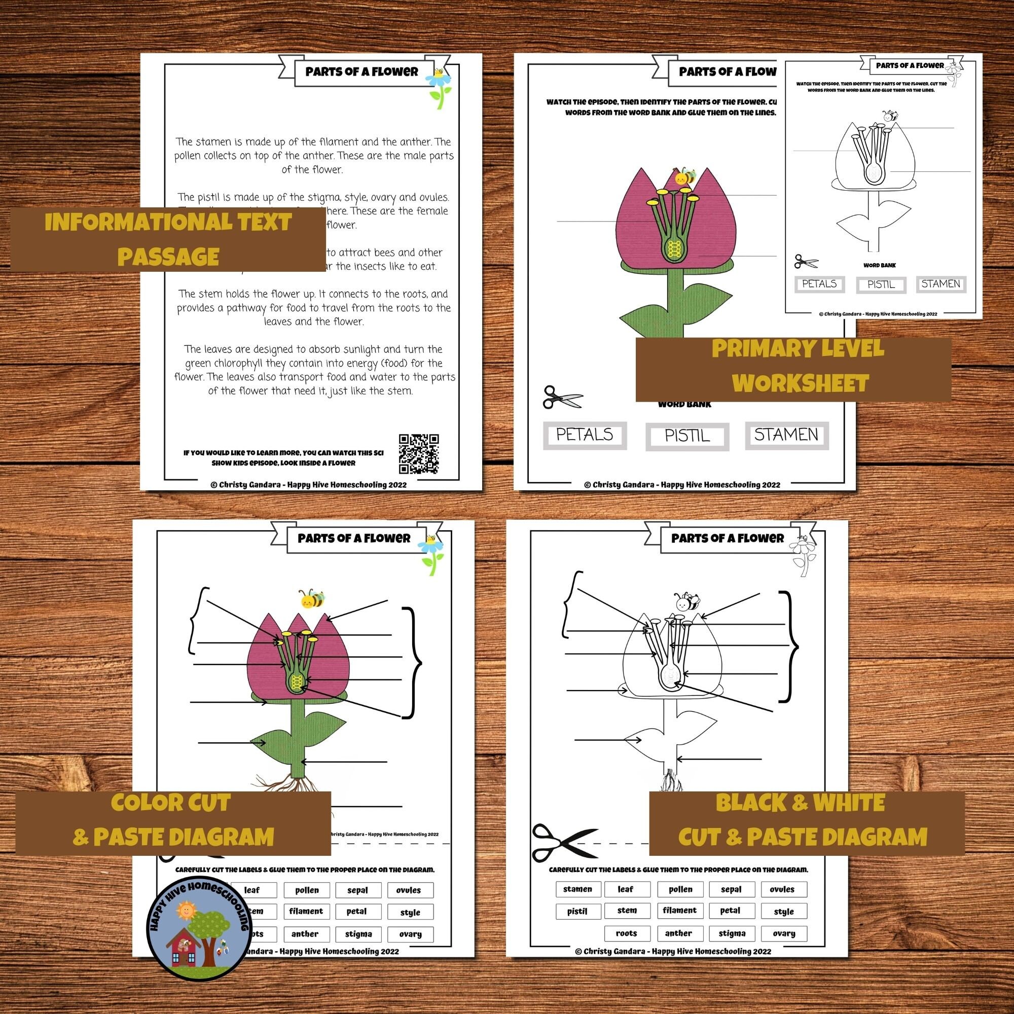 Bees, Flowers, & Pollination Printable Curriculum Lessons - Etsy
