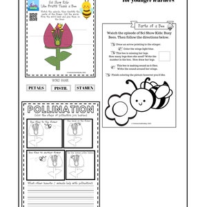 Bees Flowers & Pollination Printable Curriculum Lessons | Etsy